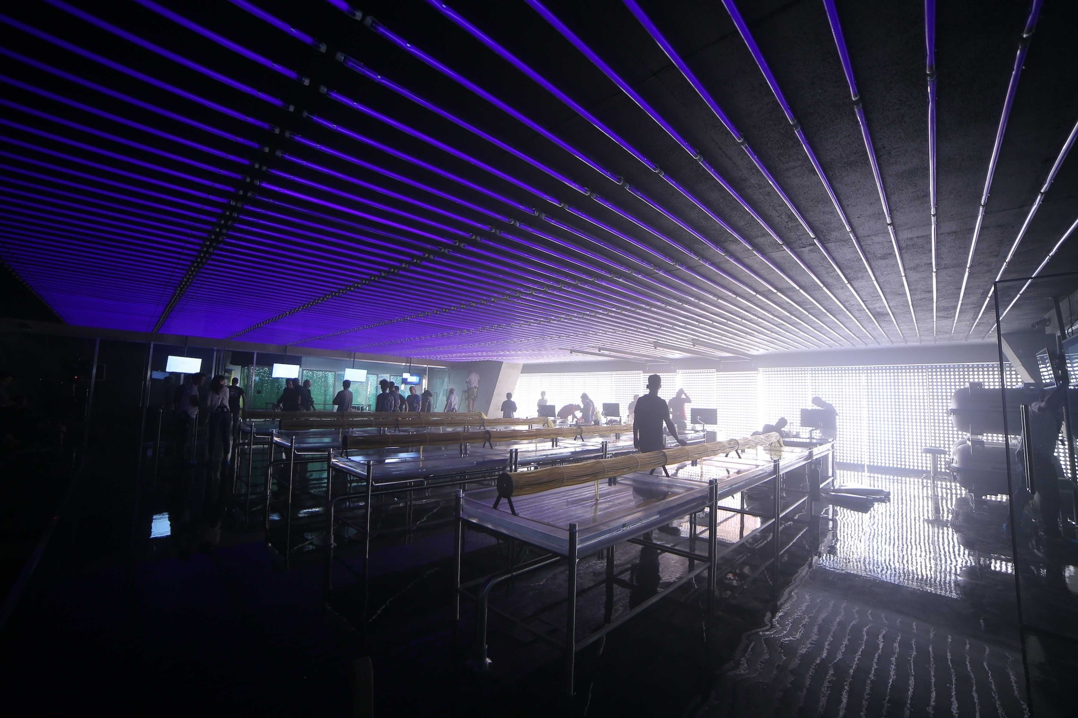 Get the inside story of Linus Sandgren FSF ASC’s work using… | Kodak