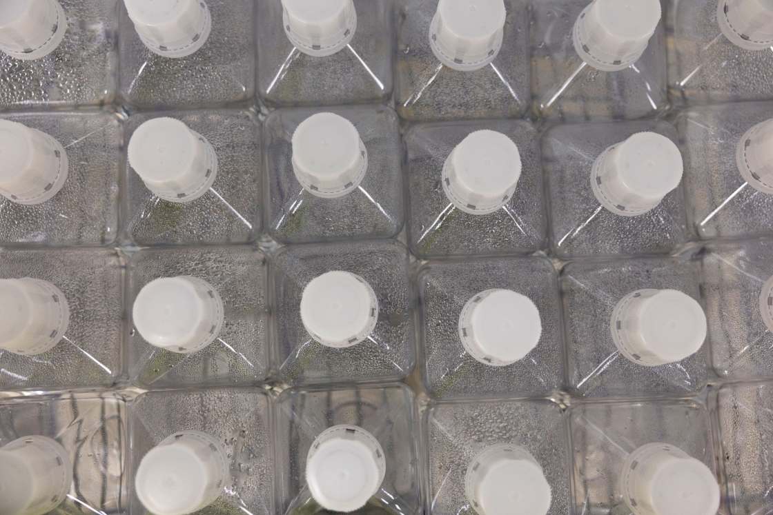 Water for Injection (WFI) | Kodak