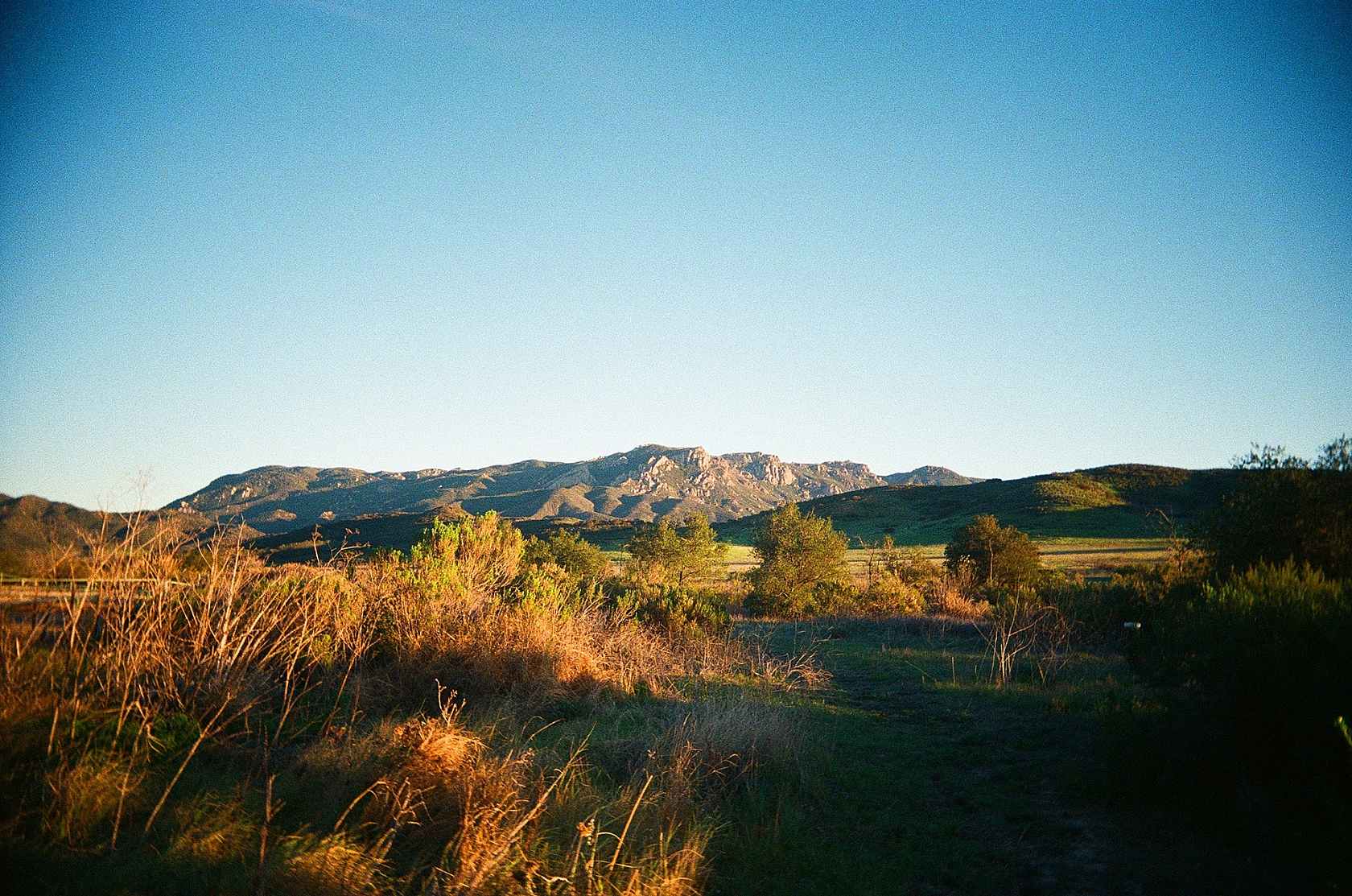 KODAK ULTRAMAX 400 Film | Kodak