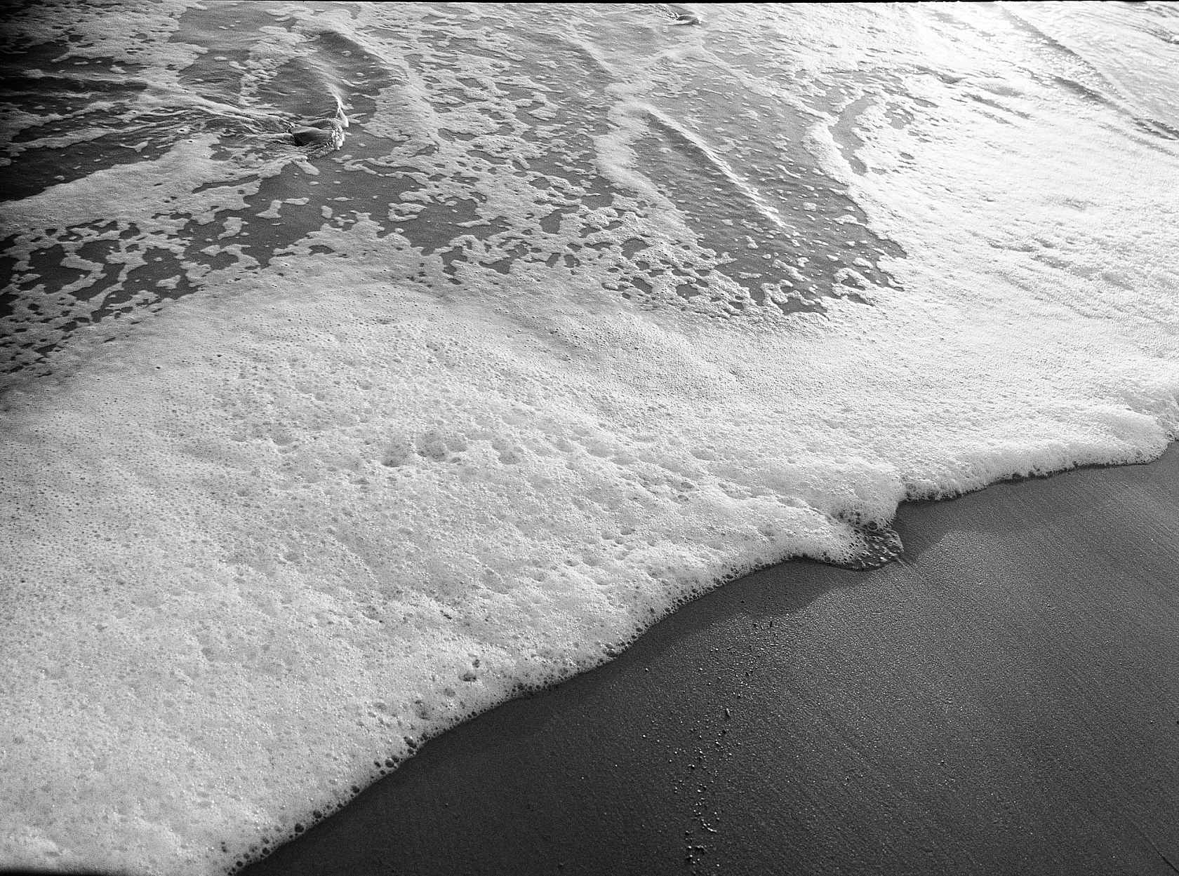 TRI-X 400 Film | Kodak