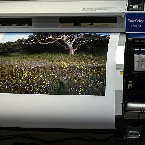KODAK Printing & Scanning | Kodak