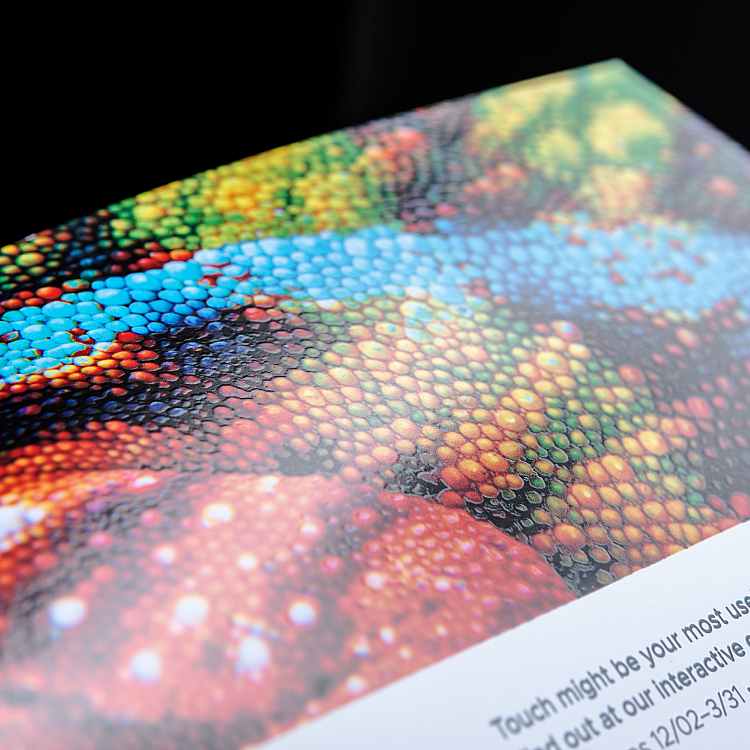 Digital Printing Solutions, Presses & Imprinting Systems | Kodak